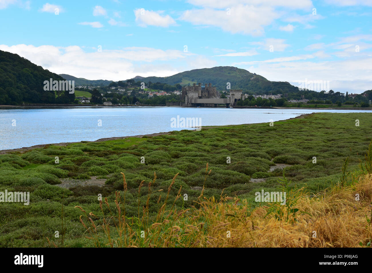 View of Conwy Castle from the RSPB Reserve at Conwy North Wales UK ...