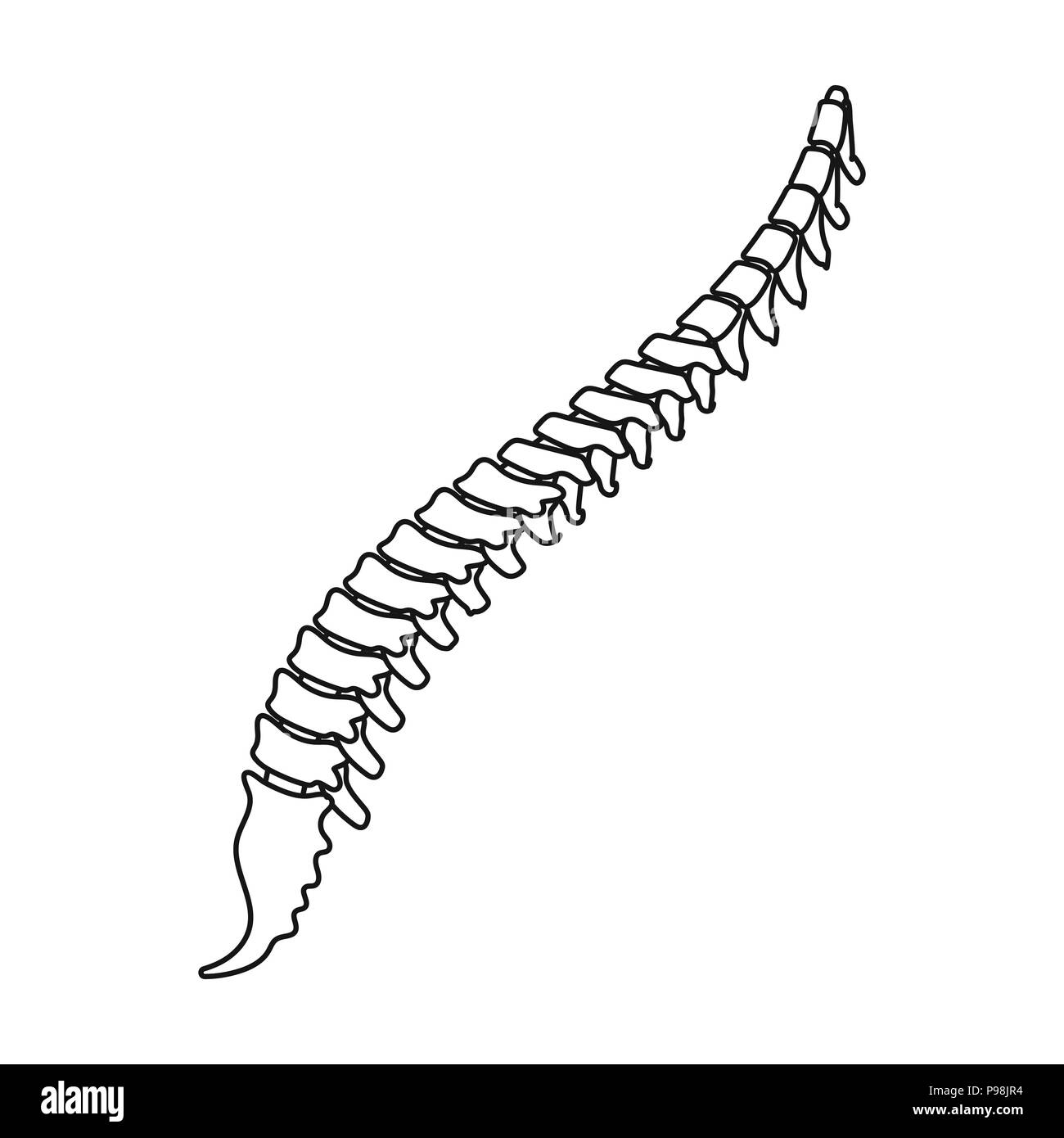 Spine icon in outline style isolated on white background. Organs symbol ...