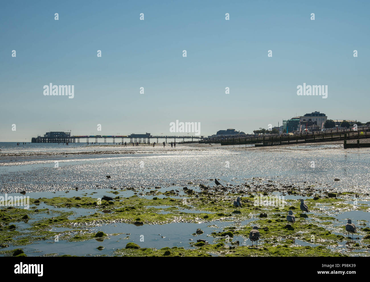 Victorian pier worthing hi-res stock photography and images - Alamy