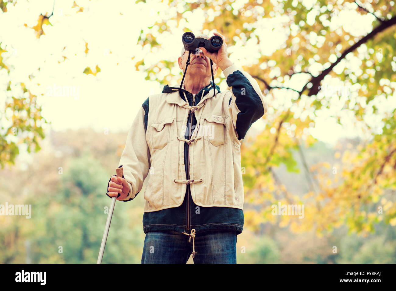 Active retirement, senior man is hiking in forest Stock Photo - Alamy