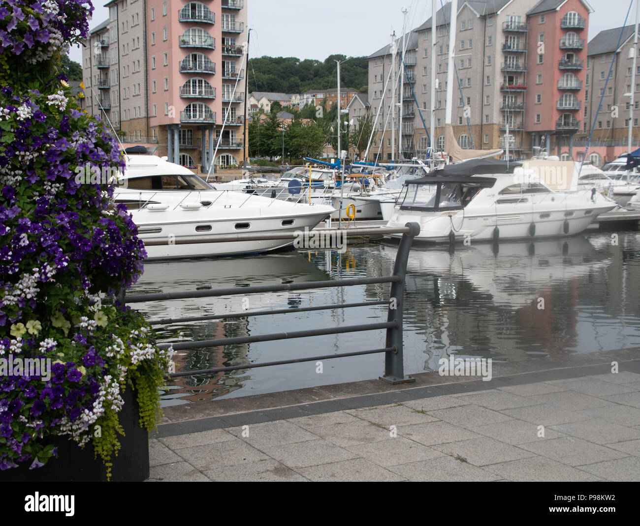 Marina filled with boats hi-res stock photography and images - Alamy