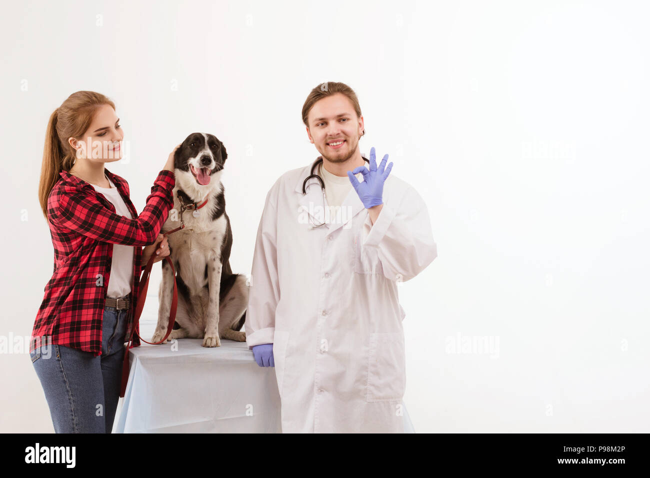 Veterinarian dog hi-res stock photography and images - Alamy