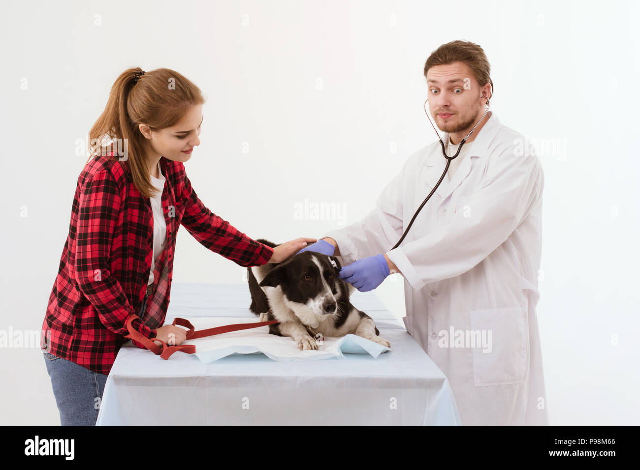 Dog getting checked at vet clinic with thir owner Stock Photo - Alamy