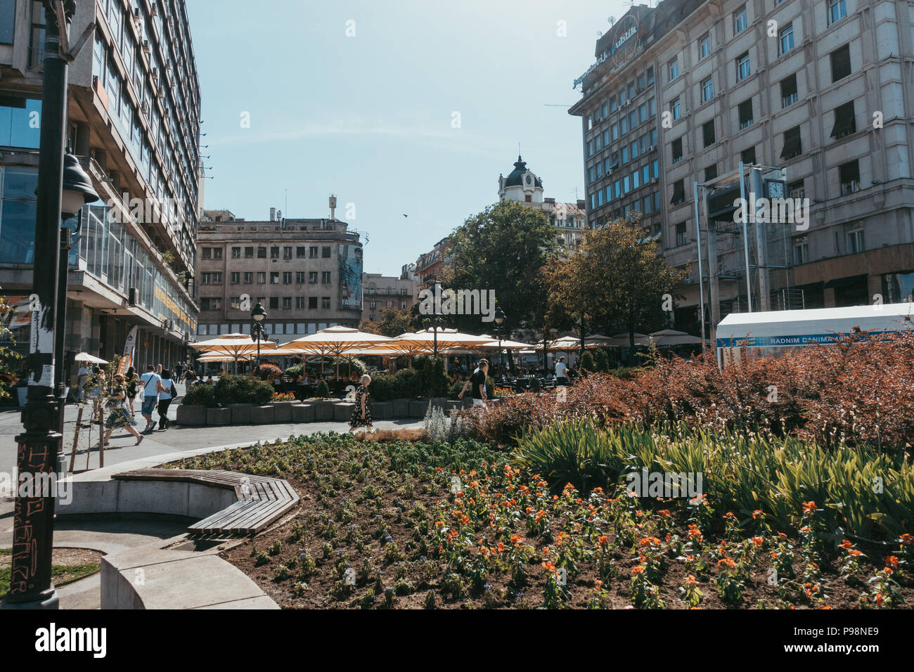 A flowerbed in a plaza in Belgrade on a hot summer day Stock Photo - Alamy