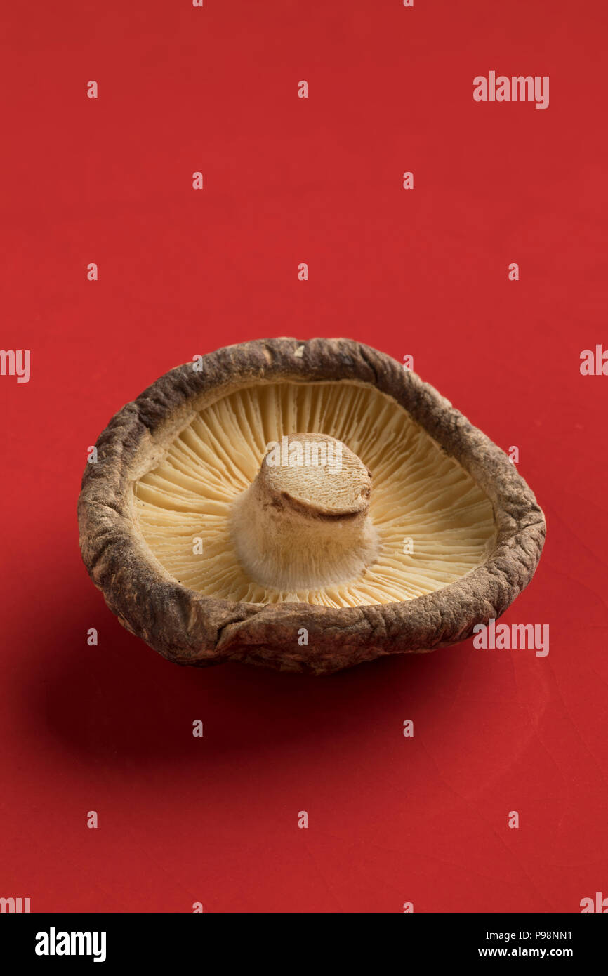Shiitake mushroom hi-res stock photography and images - Alamy