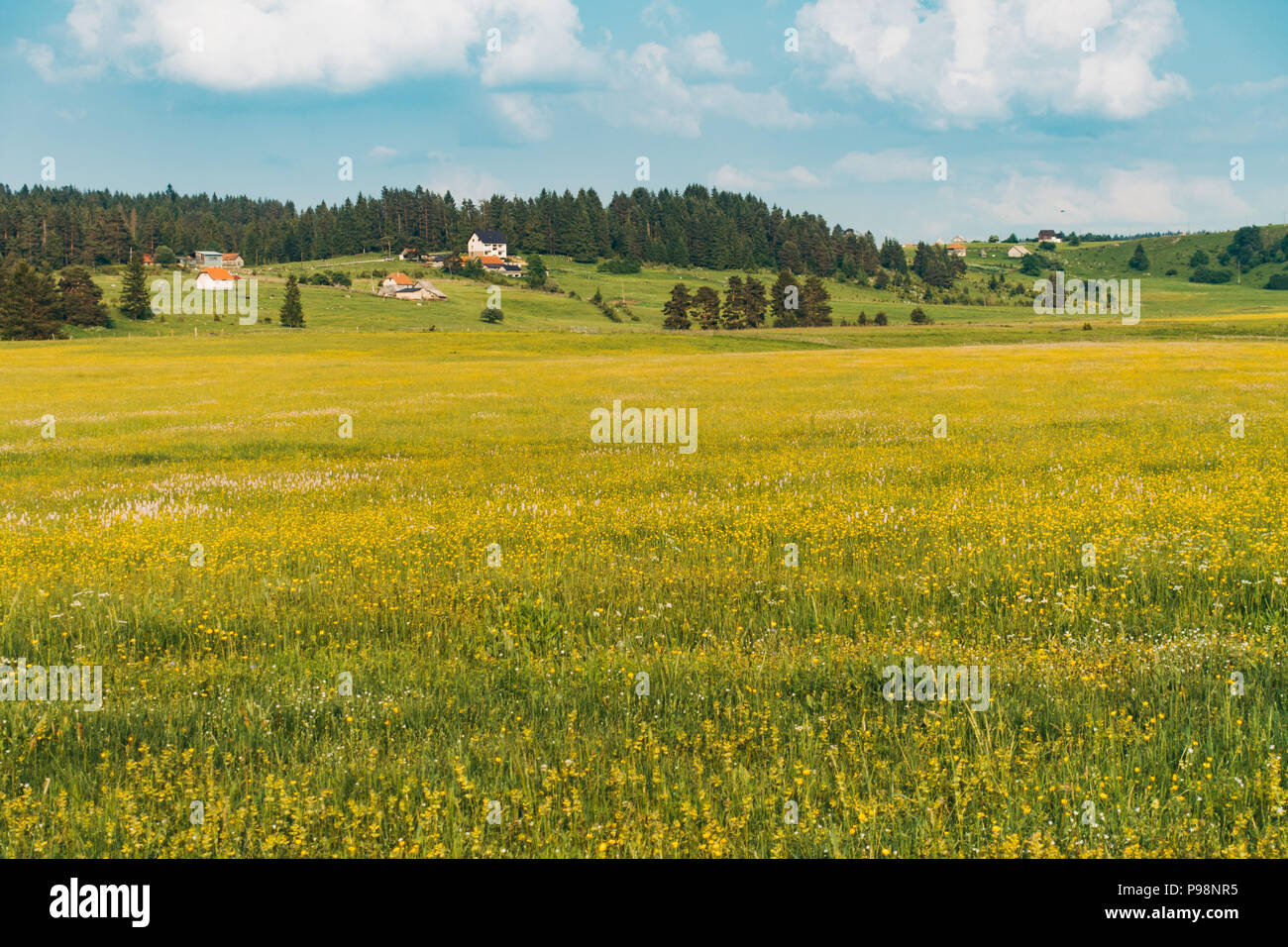 Fields in the countryside hi-res stock photography and images - Alamy