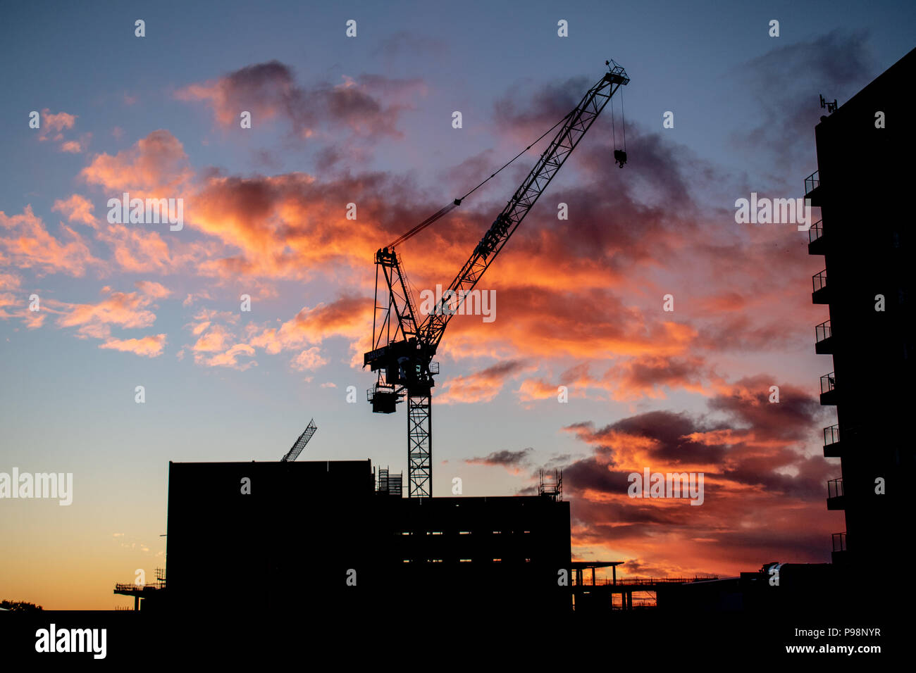 crane in sunset Stock Photo - Alamy