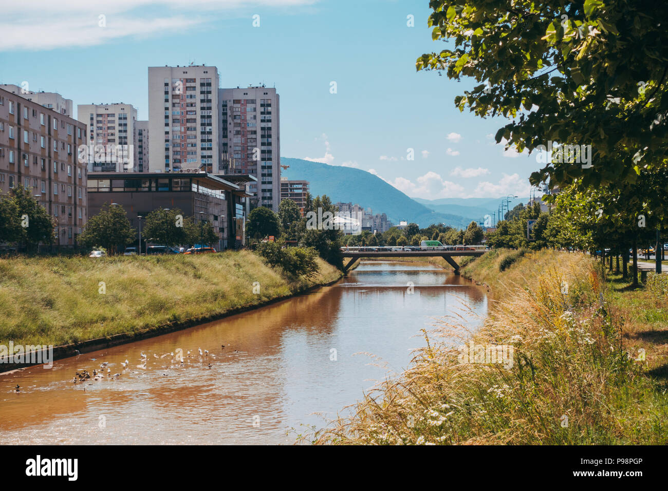 The Miljacka River, looking particularly muddy after recent rains ...