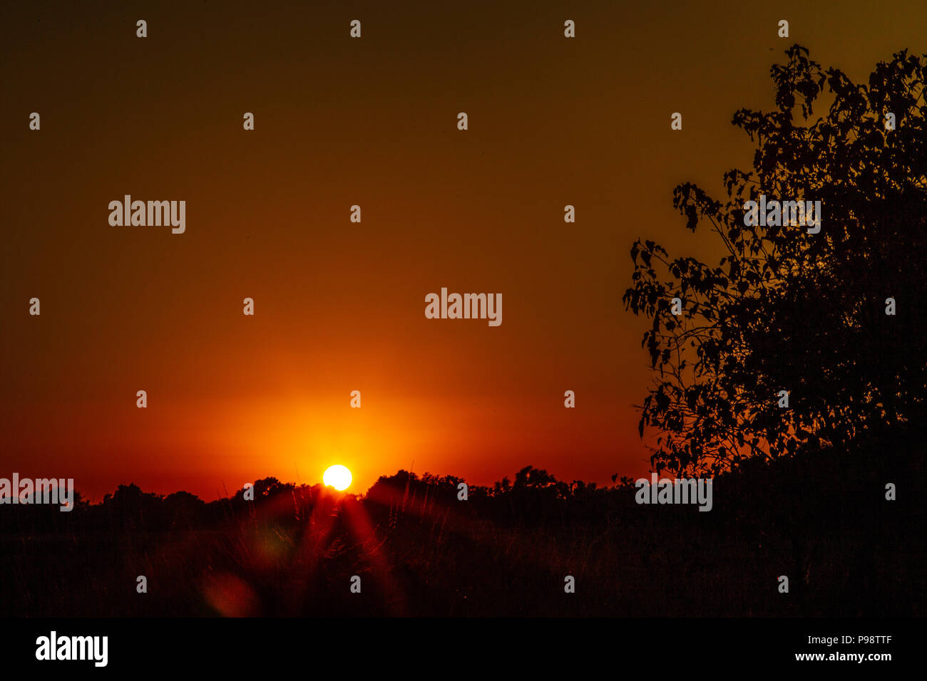 Sun rise over the Zambezi river, John's Camp, Mana Pools, Zimbabwe ...