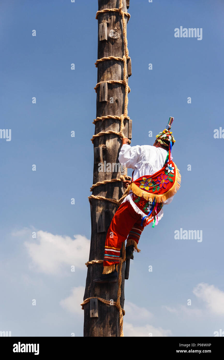 Teotihuacan, Mexico : Totonac man in traditional clothes climbing the ...