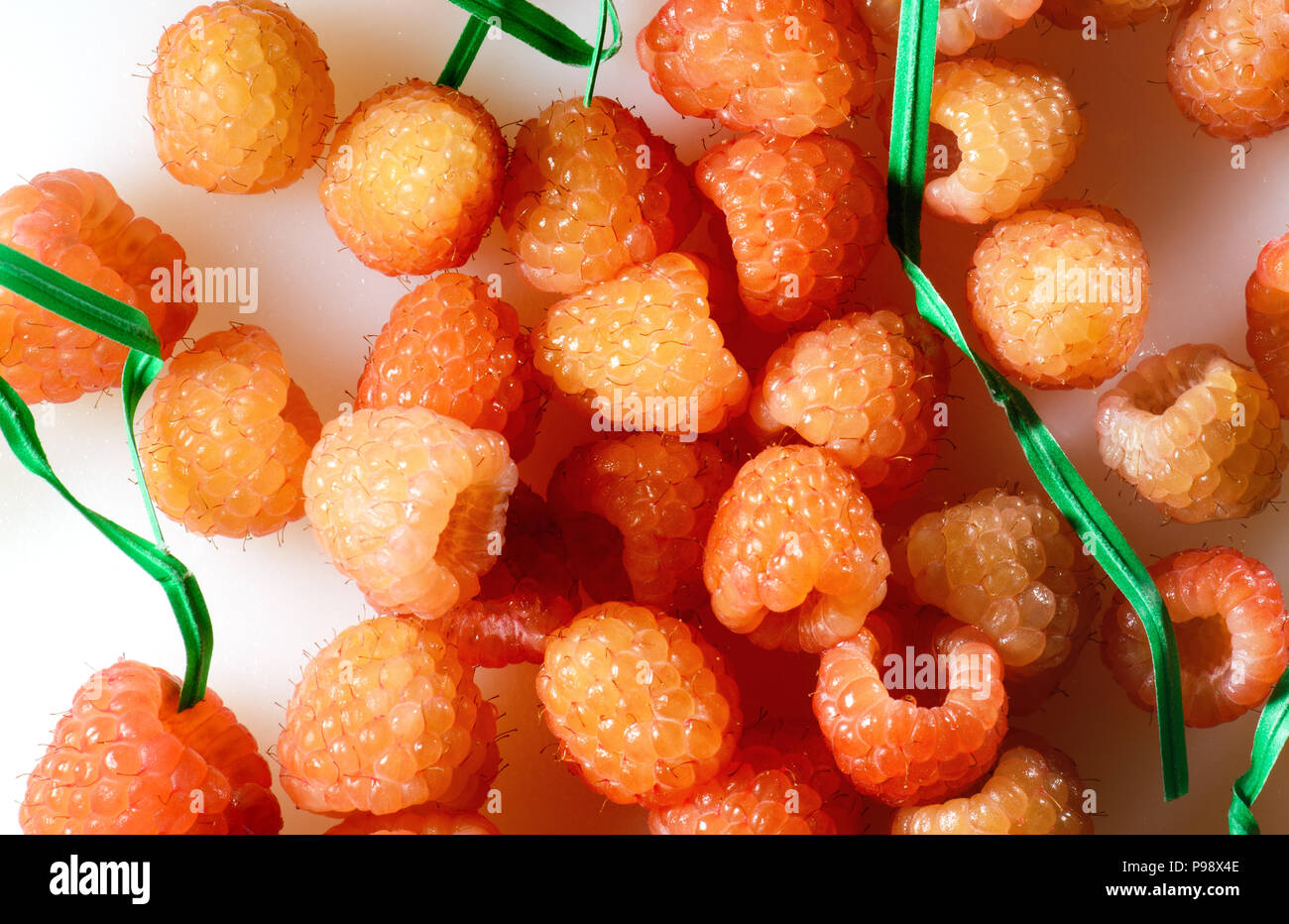 Wild Yellow Raspberries