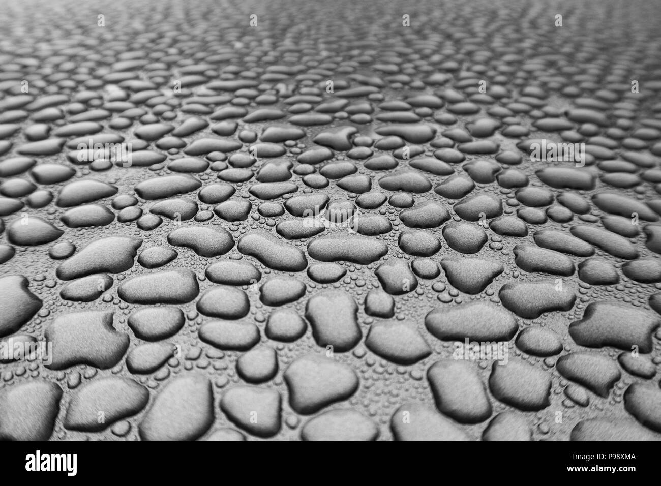Rain water has formed countless individual beads of water that appear ...