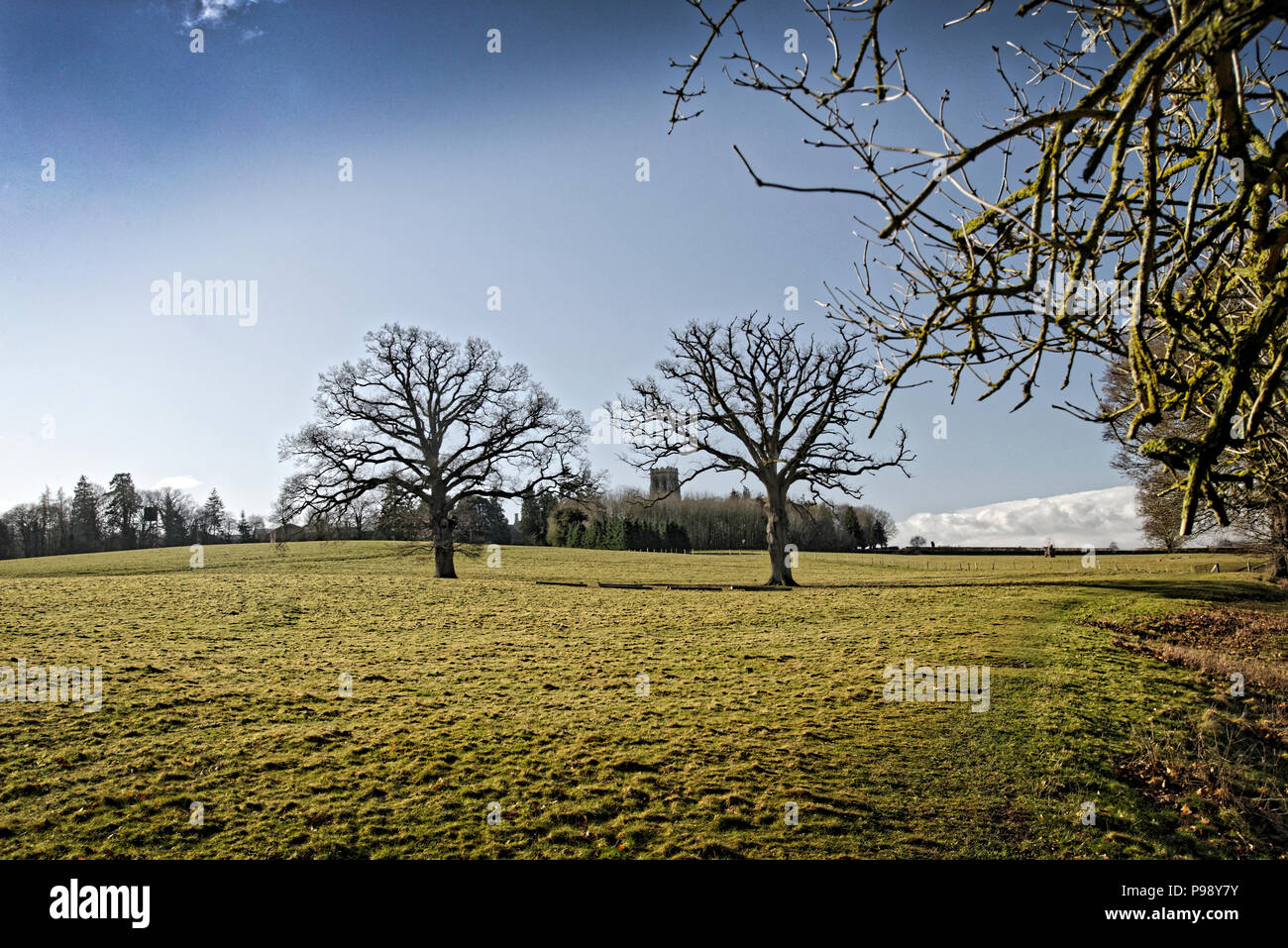 Repton abbey hi-res stock photography and images - Alamy