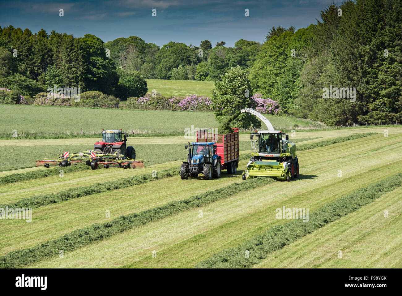 Silage making hi-res stock photography and images - Alamy