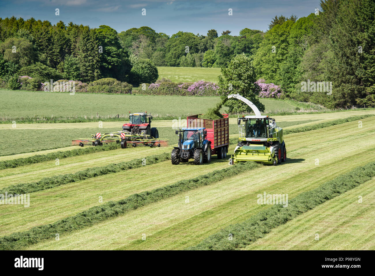 Pasture cropping farm hi-res stock photography and images - Alamy