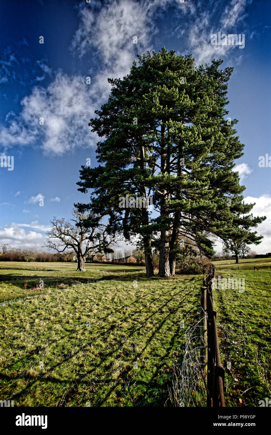 Repton abbey hi-res stock photography and images - Alamy