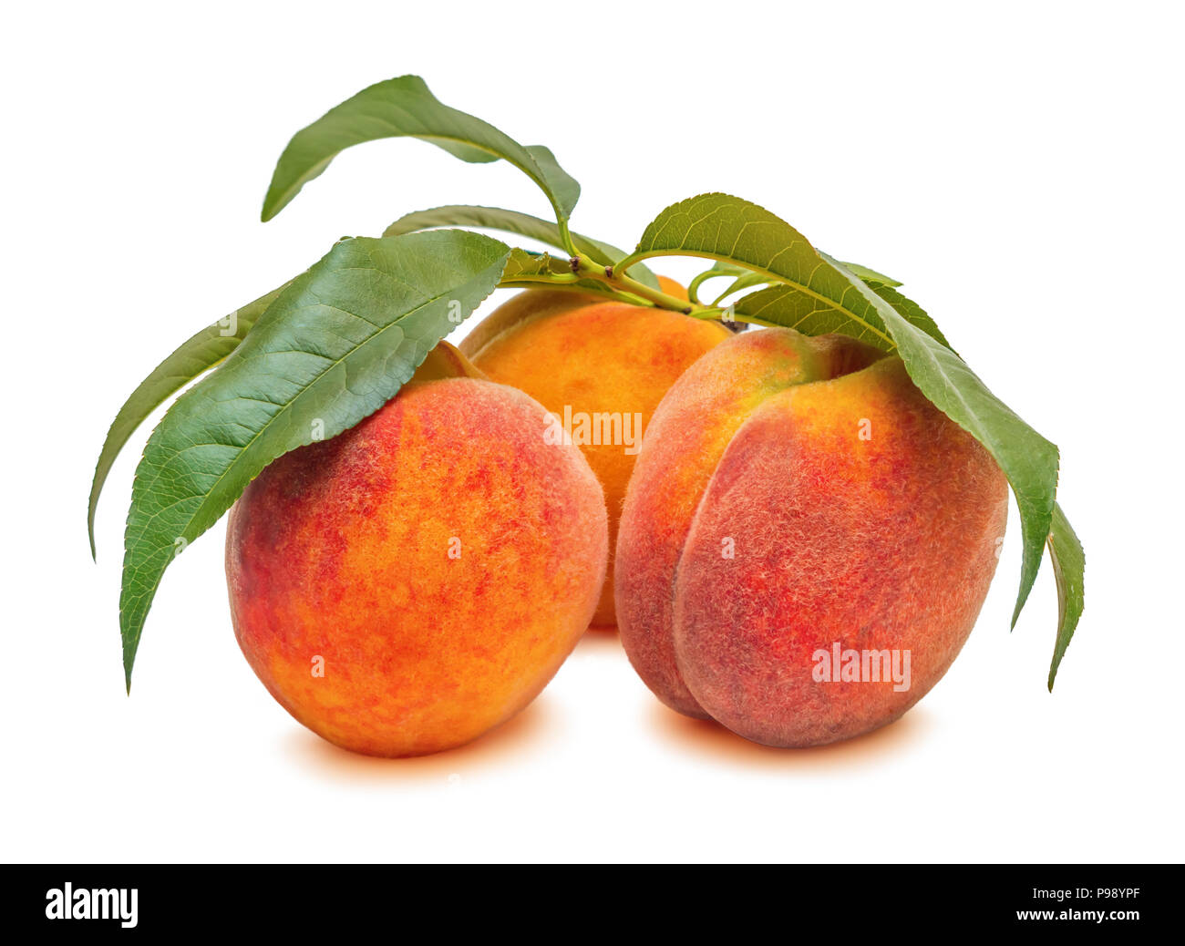 Ripe and beautiful peaches close-up on a white background Stock Photo ...
