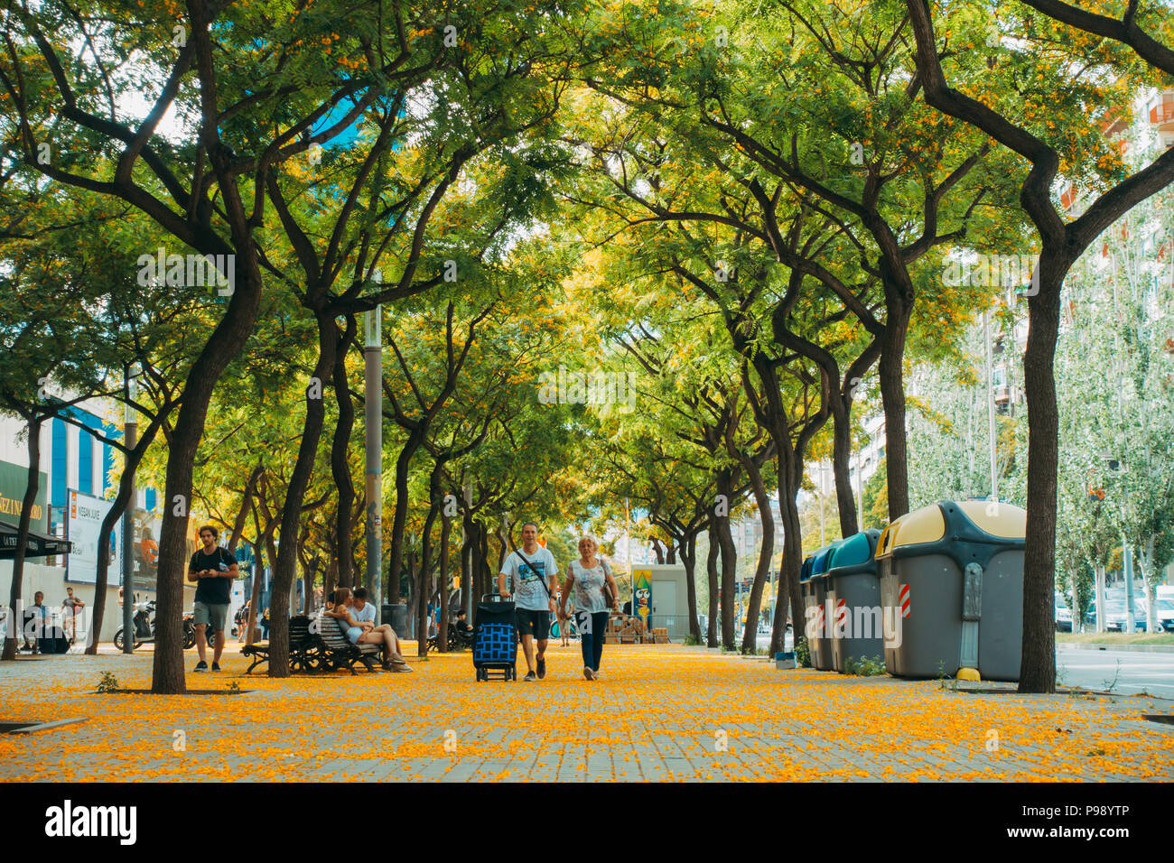 Street petals hi-res stock photography and images - Alamy