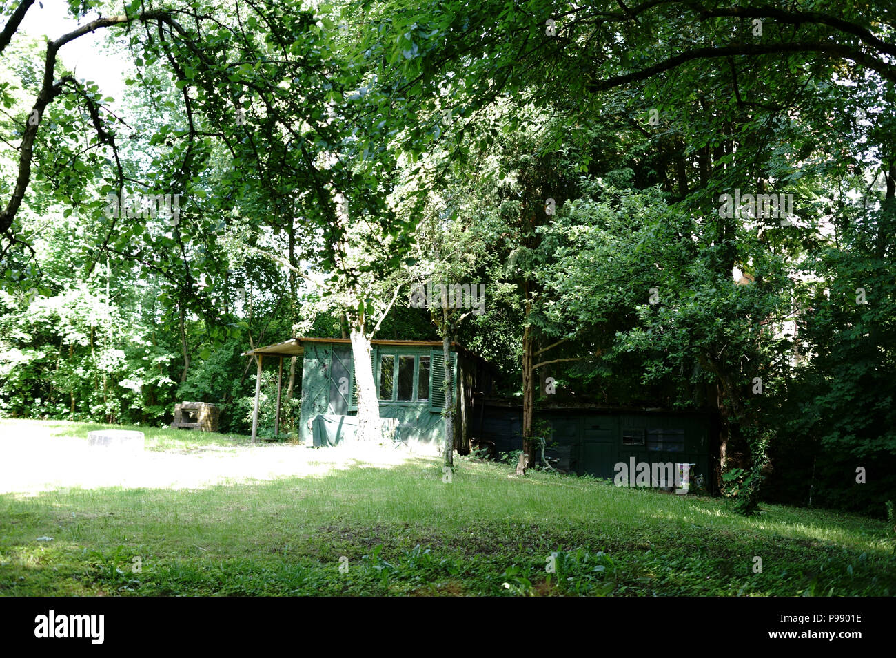 A garden shed is surrounded by trees in the sunlight in the garden ...