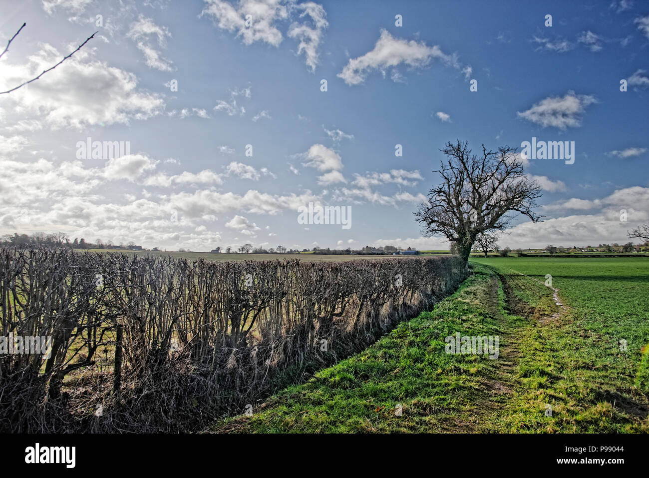 Repton abbey hi-res stock photography and images - Alamy