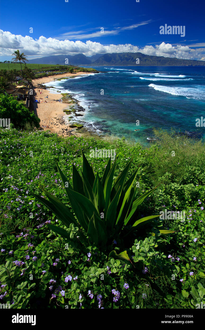 Ho'okipa Beach Park, Maui, Hawaii Stock Photo - Alamy
