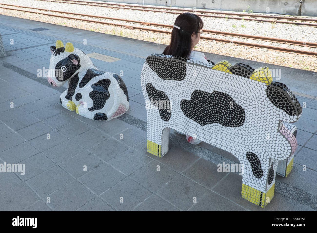 Dairy, Cow,udder,seat,seating,area,on,platform,Ruisui,train,station ...