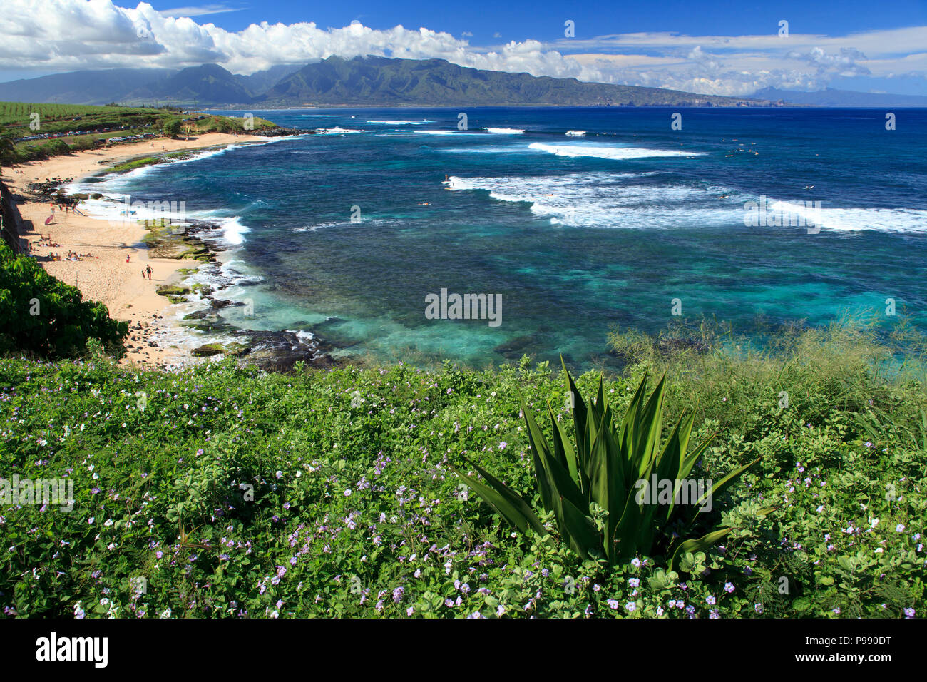 Ho'okipa Beach Park, Maui, Hawaii Stock Photo - Alamy