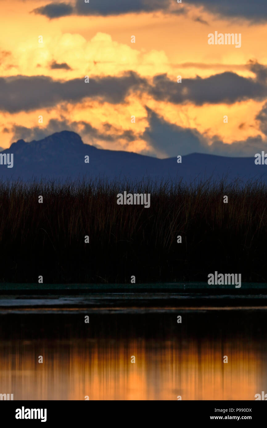 Beautiful sunset on the shores of Lake Junin Stock Photo - Alamy
