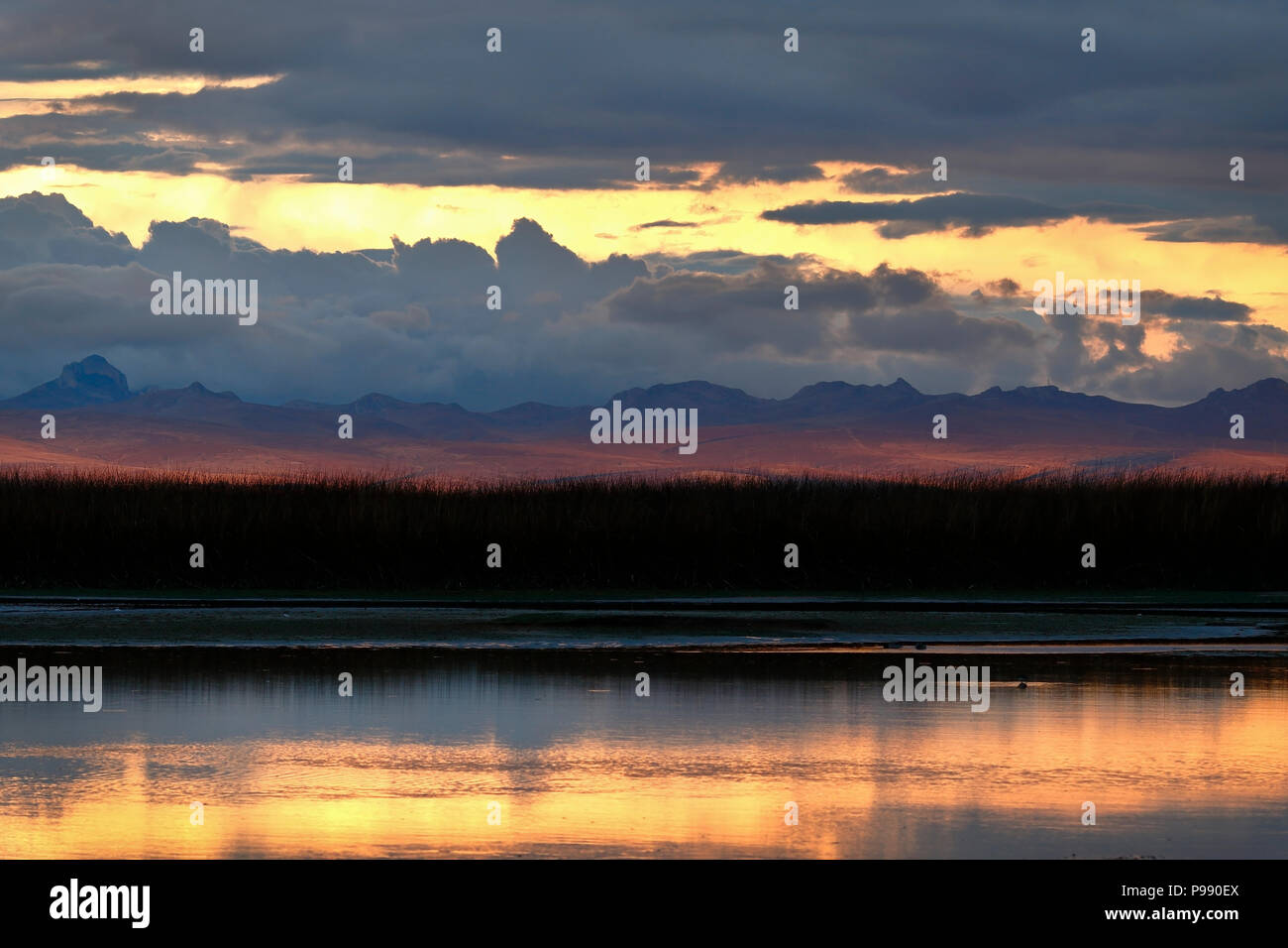 Parihuanas hi-res stock photography and images - Alamy