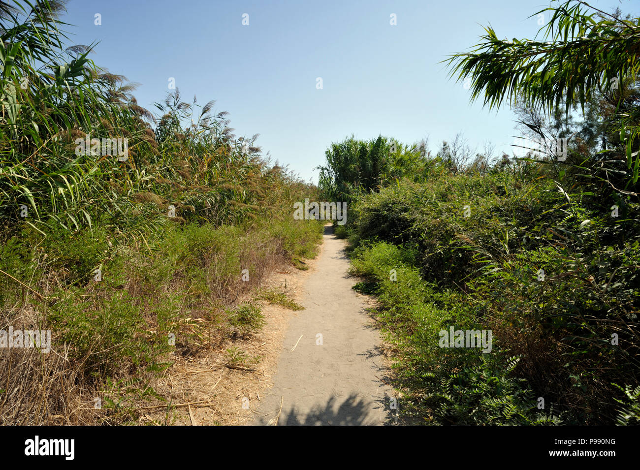 Path paths pathway pathways hi-res stock photography and images - Alamy
