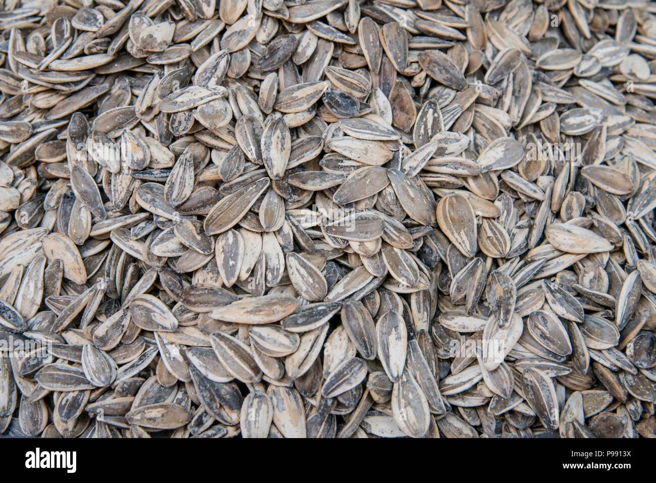 Sunflower seeds background Stock Photo - Alamy