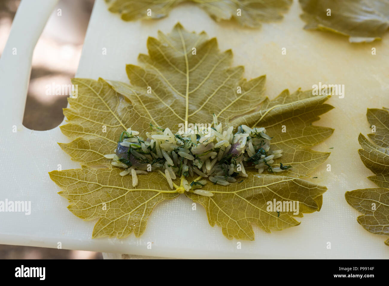 Preparation of stuffed grape leaves with rice Stock Photo - Alamy