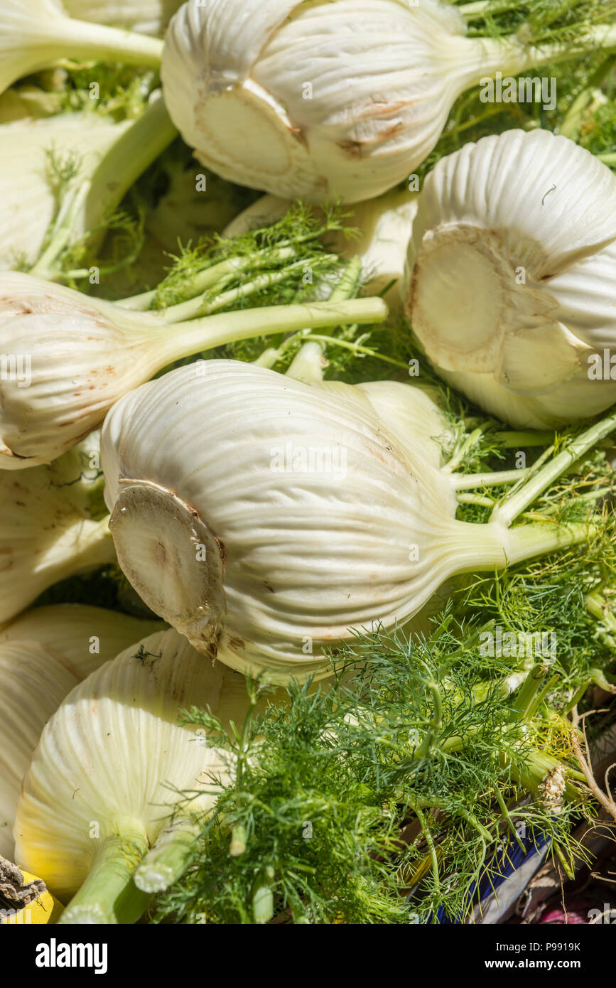 Fennel fruit hi-res stock photography and images - Alamy