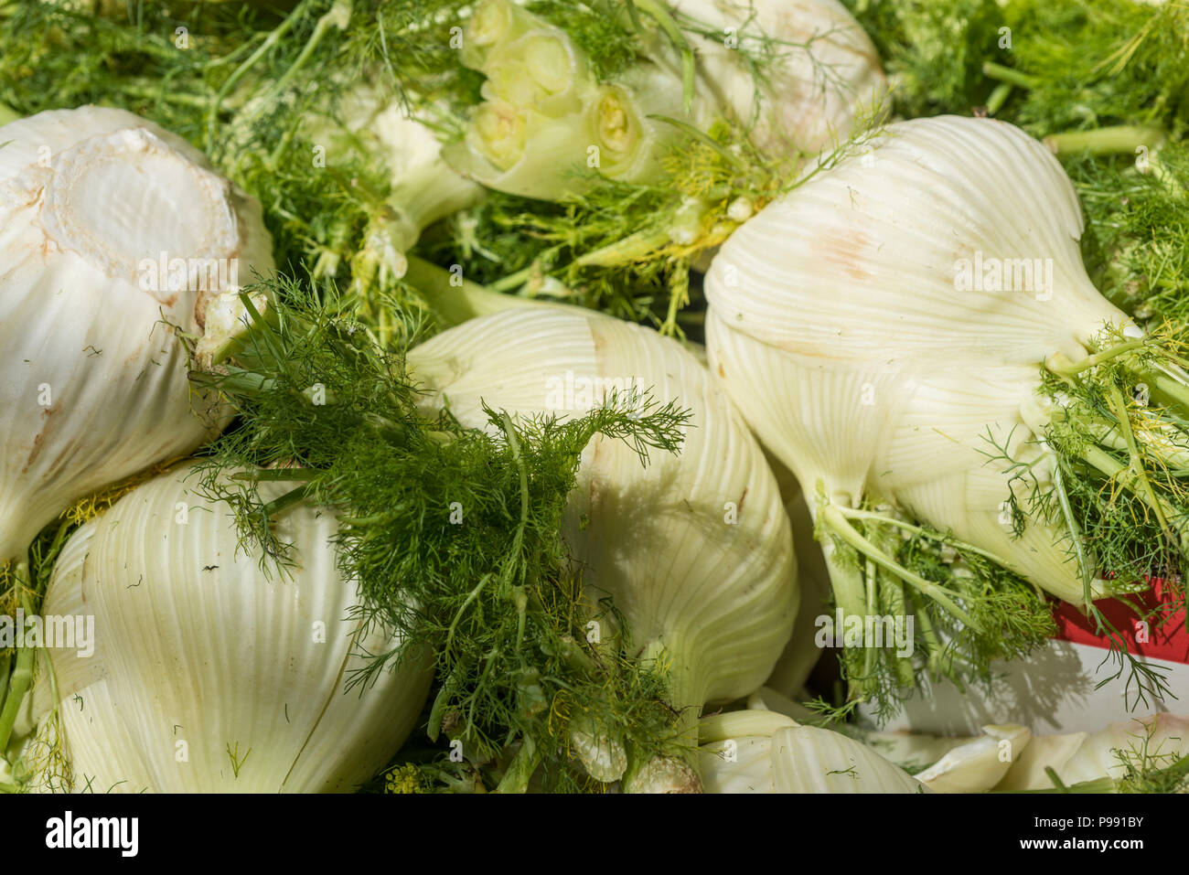 Anise fennel hi-res stock photography and images - Alamy