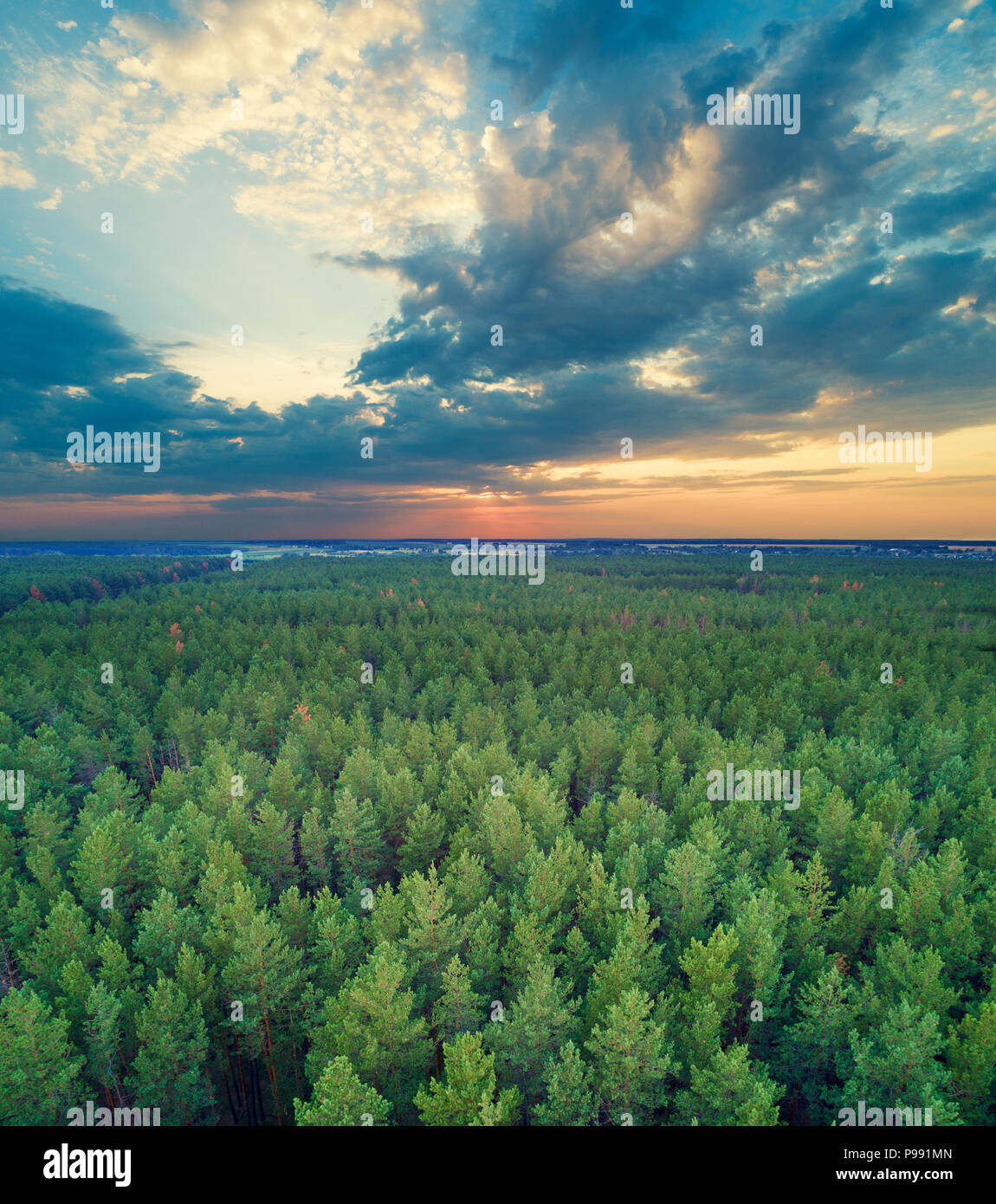 Forest land scape hi-res stock photography and images - Alamy