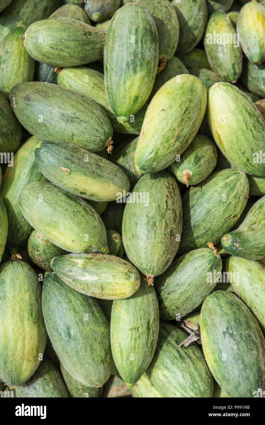 Display of cucumbers hi-res stock photography and images - Alamy