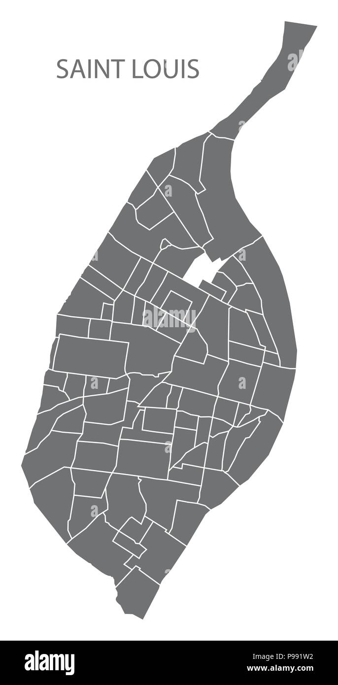 Saint Louis Missouri city map with neighborhoods grey illustration ...