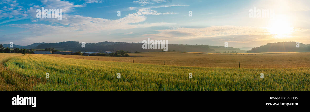Colorful panorama with the sunrise over pastures, grain fields, hills ...