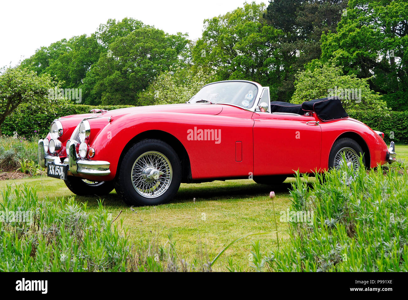 A red Jaguar XK150 sports coupe displayed at a classic vehicle shower ...