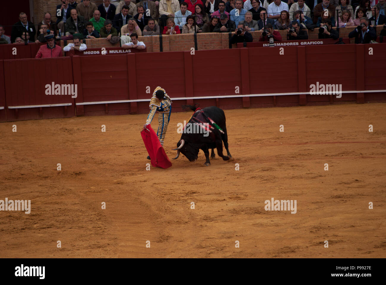 the bloody fight between bull and bullfighter Stock Photo - Alamy