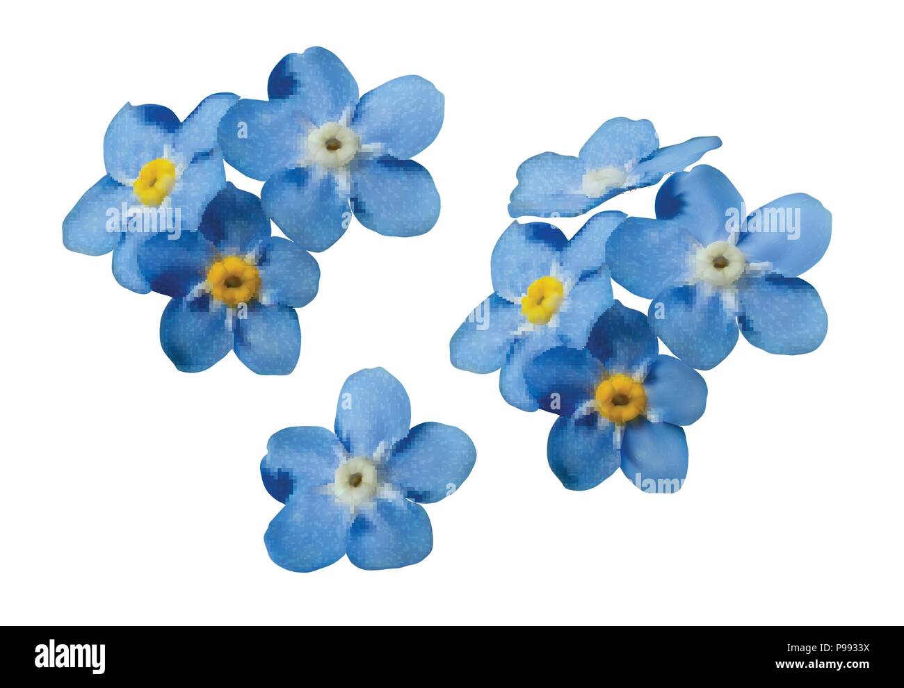 Blue forget me not spring flowers. Decorative elements vector set Stock ...