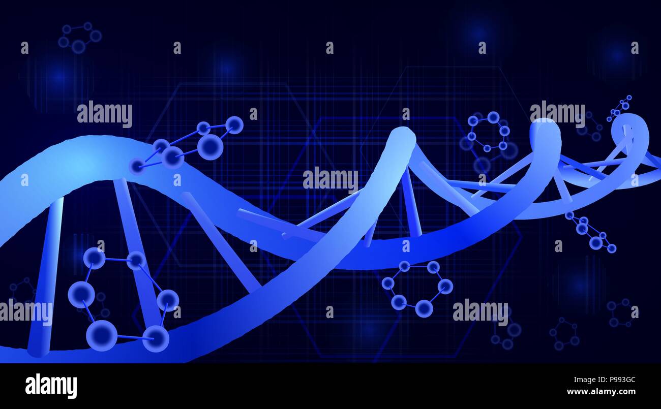 Chromosome 3d model genetics Stock Vector Images - Alamy