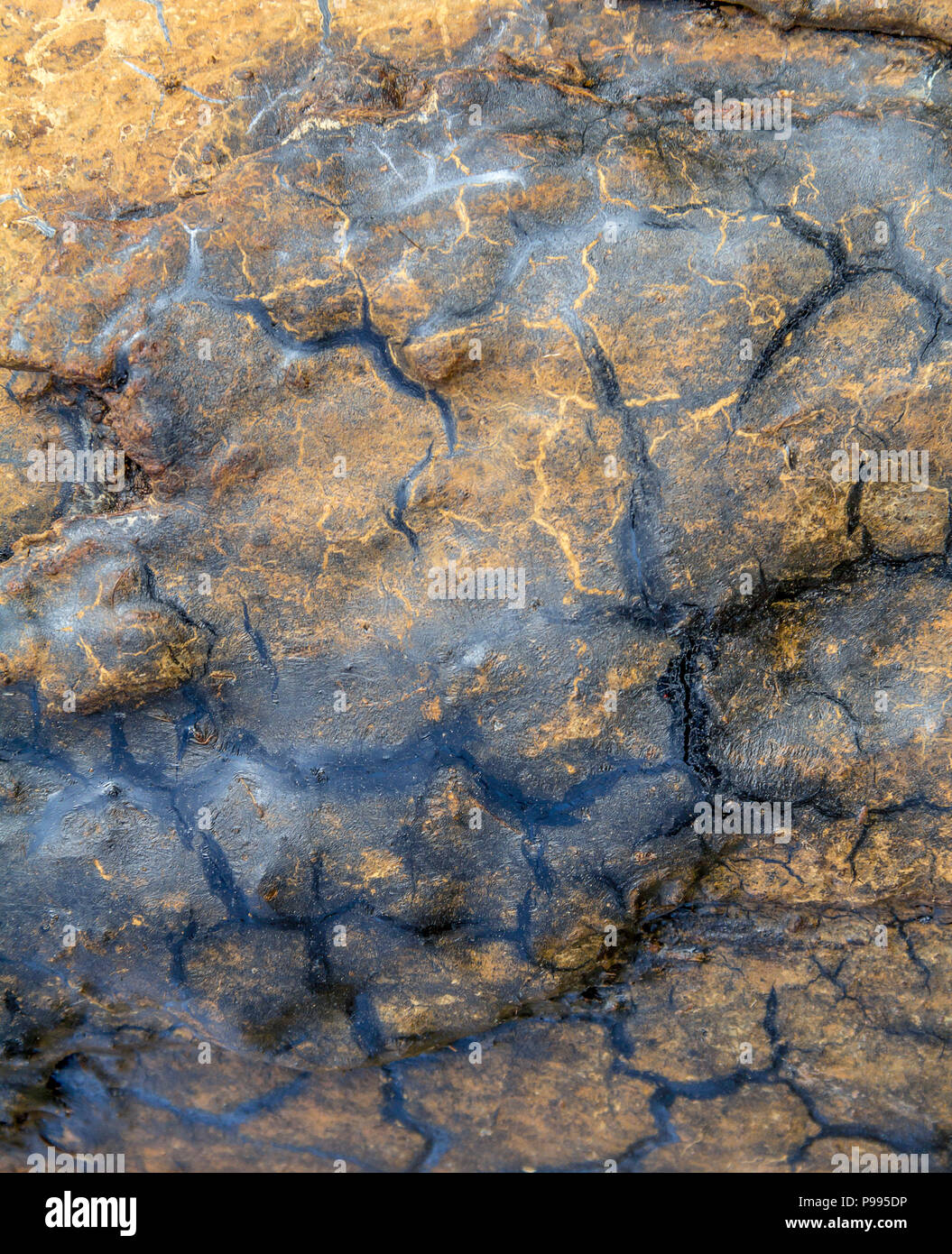 Burnt cracked wood texture hi-res stock photography and images - Alamy