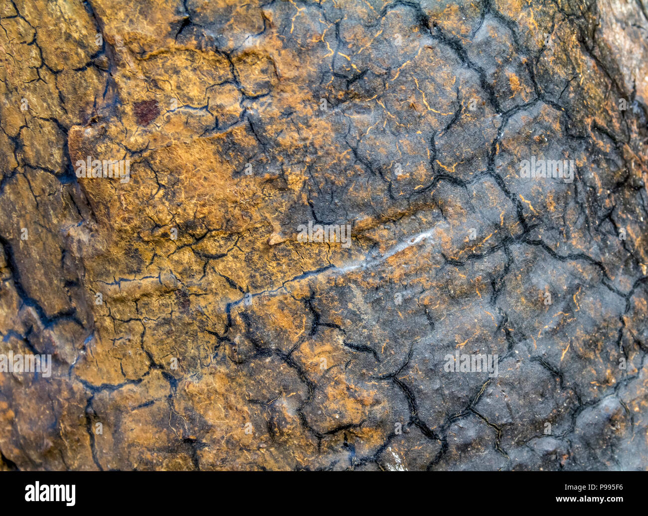 Burnt cracked wood texture hi-res stock photography and images - Alamy