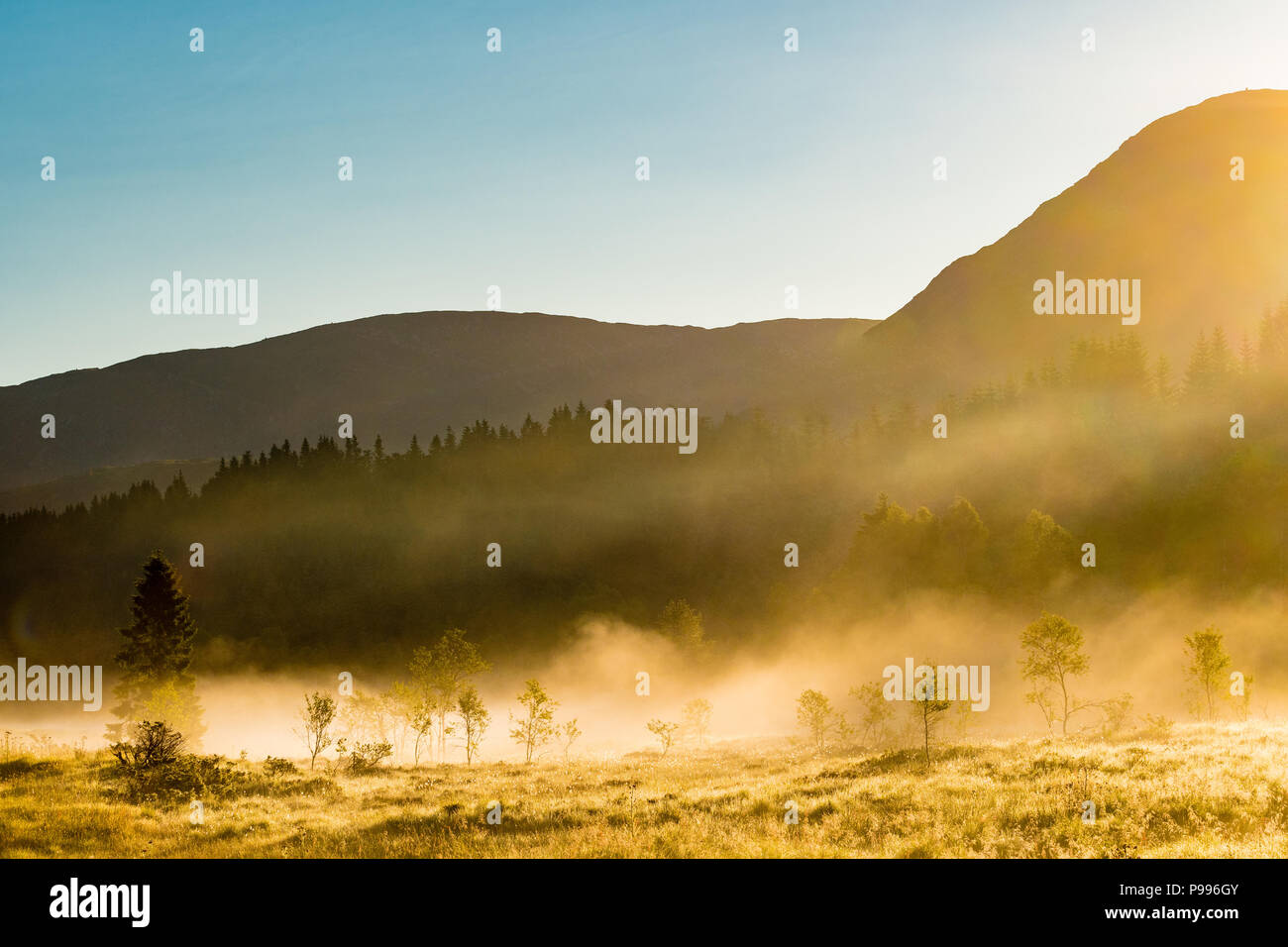 Mist photos hi-res stock photography and images - Alamy
