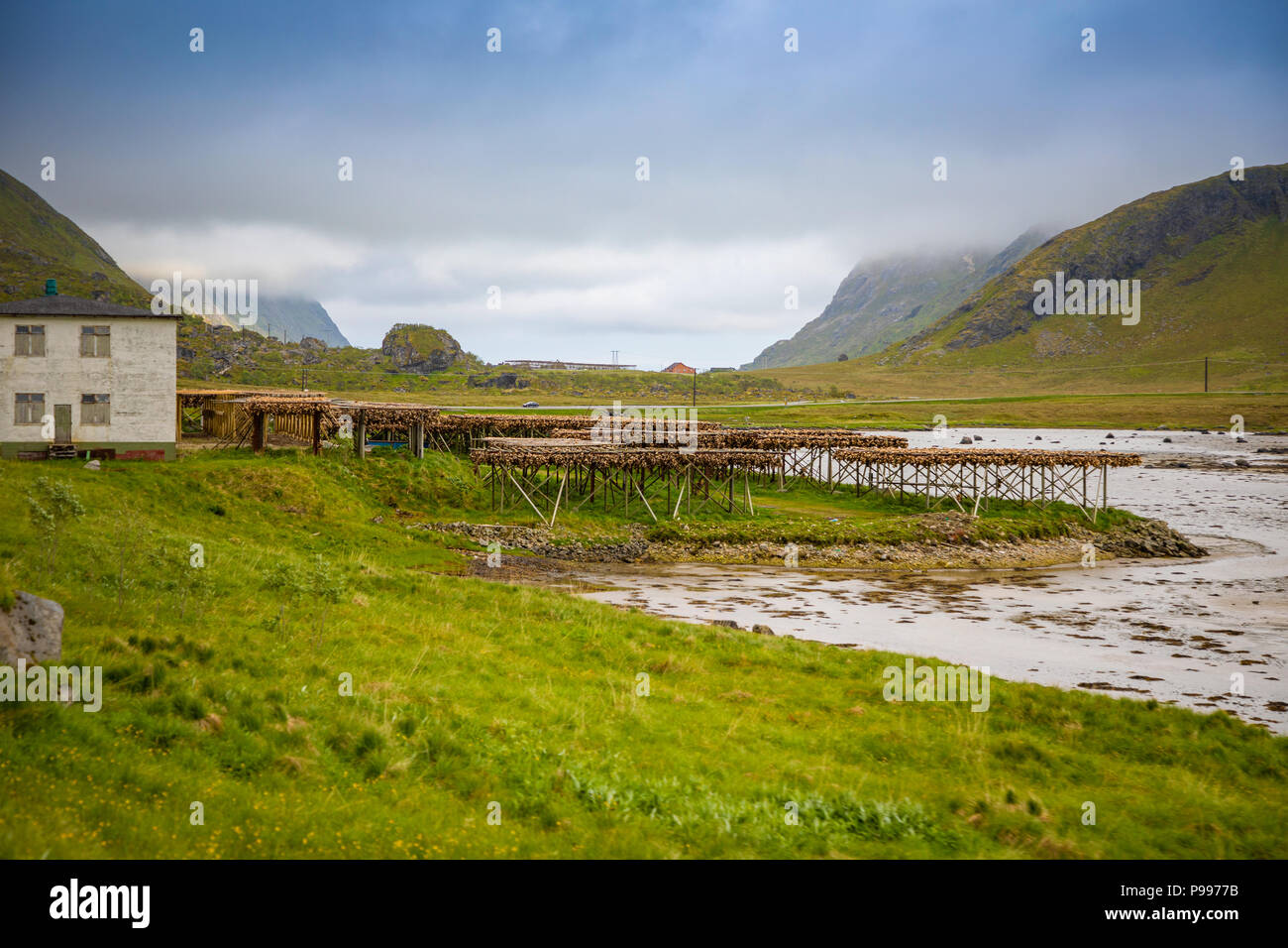 Cod fish head hi-res stock photography and images - Alamy