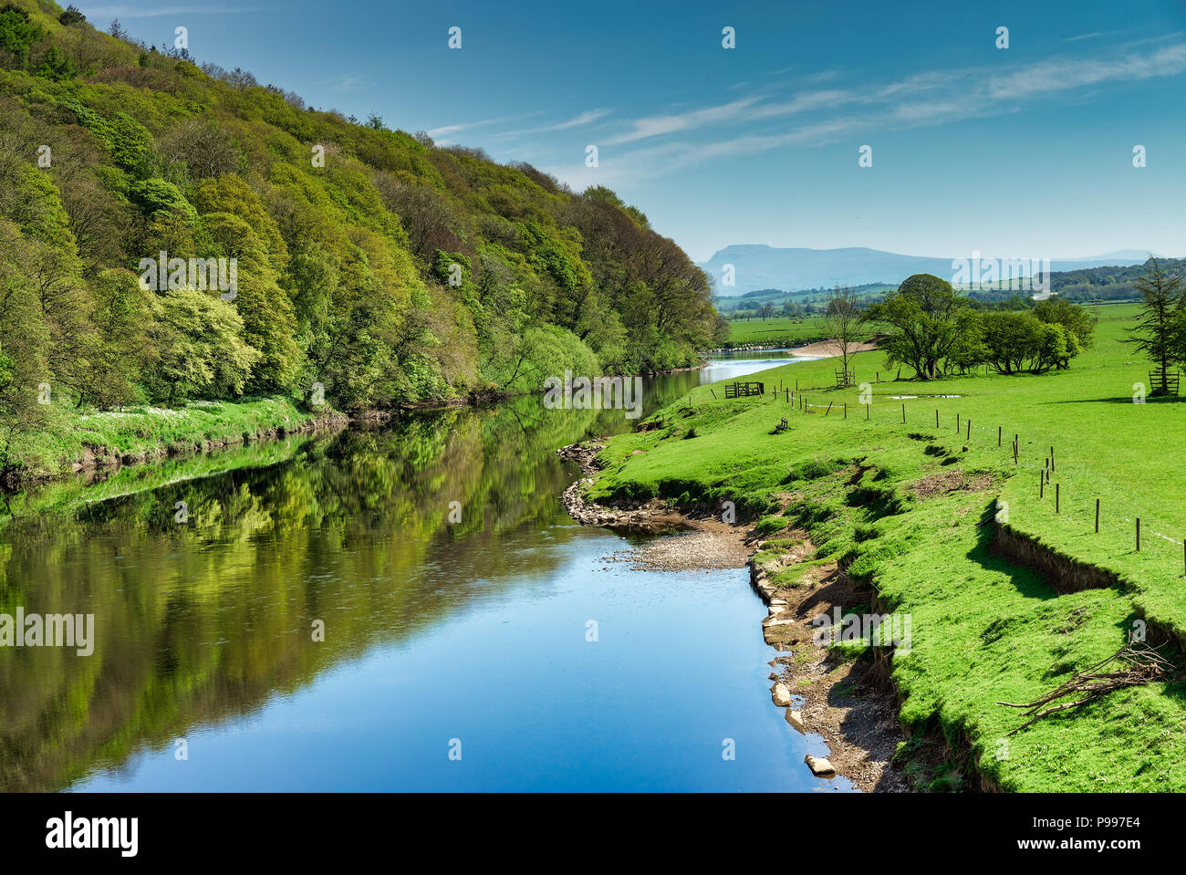 The River Lune near Lancaster flowing through lush green country Stock ...