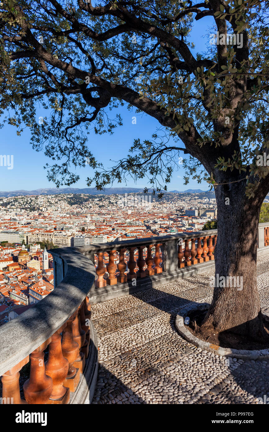 France, Nice city from above, hilltop viewpoint terrace with tree and ...