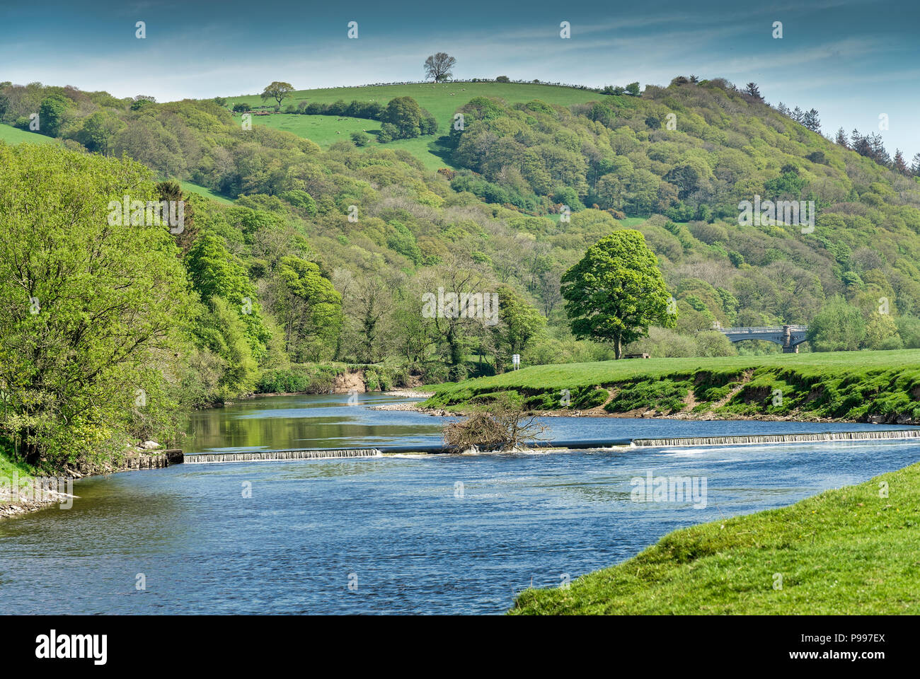 The river Lune near Lancaster below wooded slopes Stock Photo - Alamy