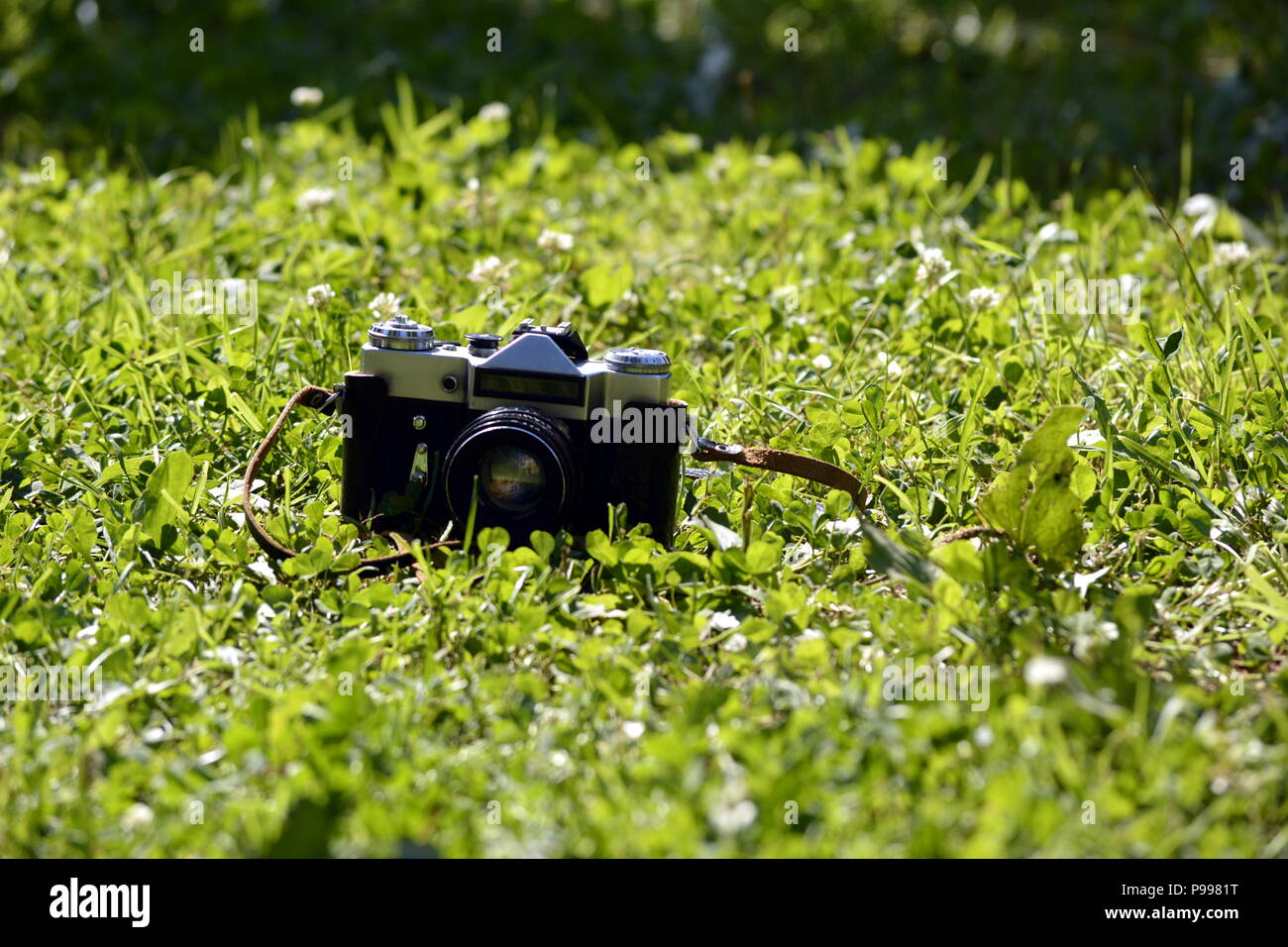 Vintage old camera peeking out of green grass Stock Photo - Alamy